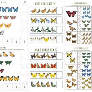 BUTTERFLY Pre-k and K Activity Pack, Homeschool, Digital, Instant ...