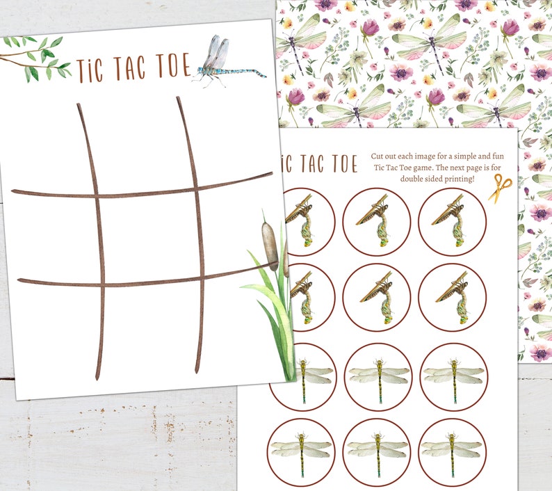 DRAGONFLY Unit Study Life Cycle Anatomy Nature Study - Etsy