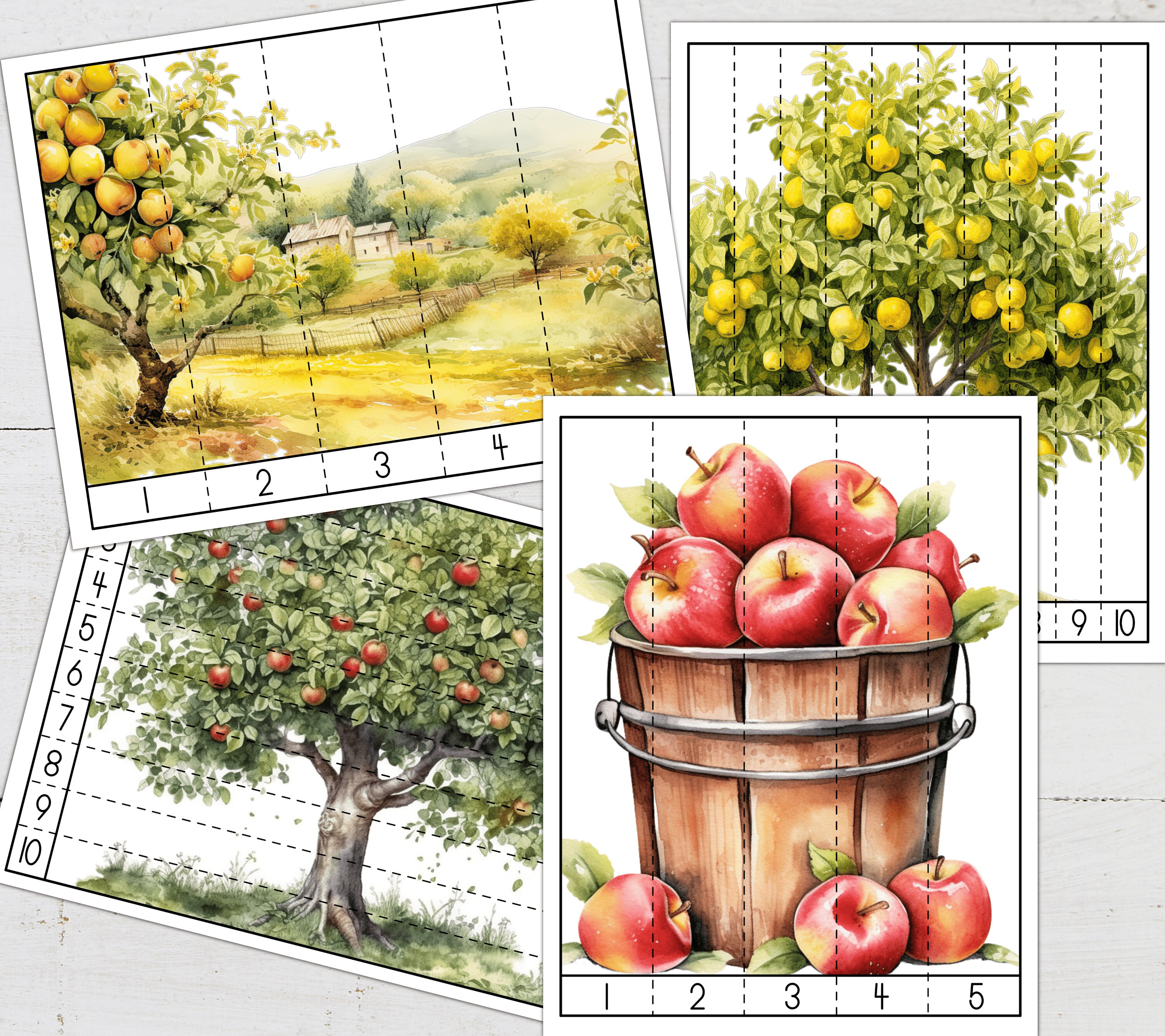 APPLE Unit Study, Life Cycle, Anatomy, Nature Study, Science ...