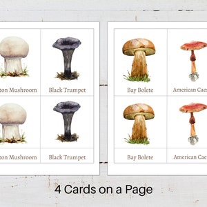MUSHROOMS Mini Poster + 3-part Cards, 19 Mushrooms, Homeschool ...