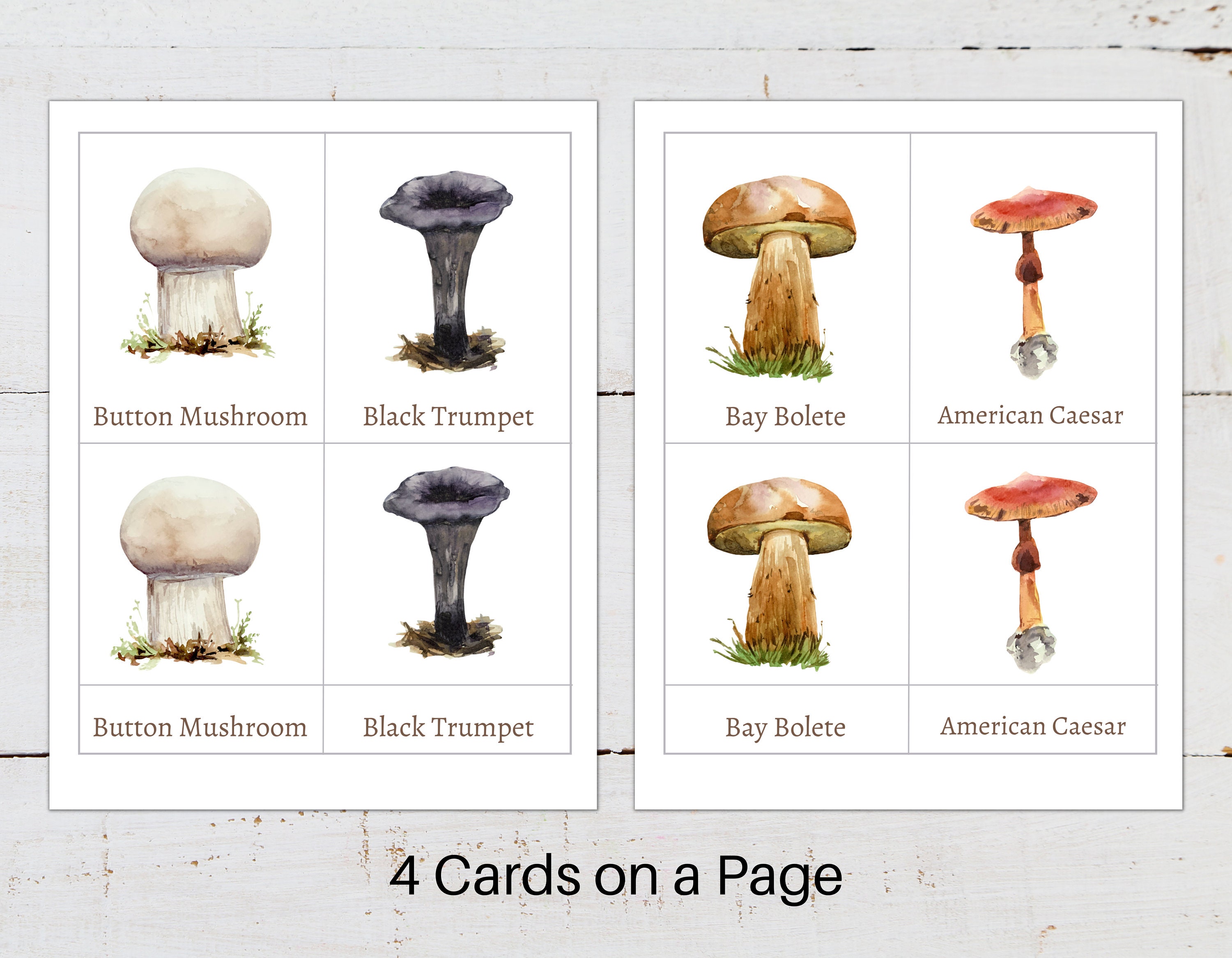 MUSHROOMS Mini Poster + 3-part Cards, 19 Mushrooms, Homeschool ...