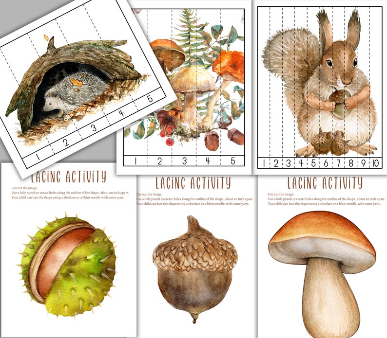 AUTUMN FOREST Pre-k and K Activity Pack, Homeschool, Digital, Instant ...
