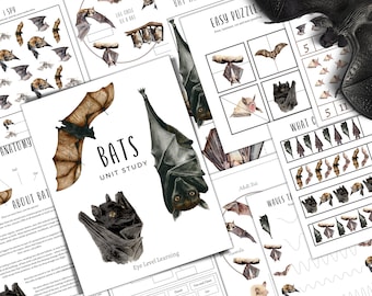 BAT Life Cycle, Nature Study, Homeschool Printable, Instant Download - Etsy