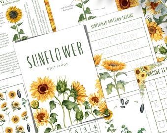 Sunflower Unit Study: Life Cycle, Anatomy, Homeschool Printable ...