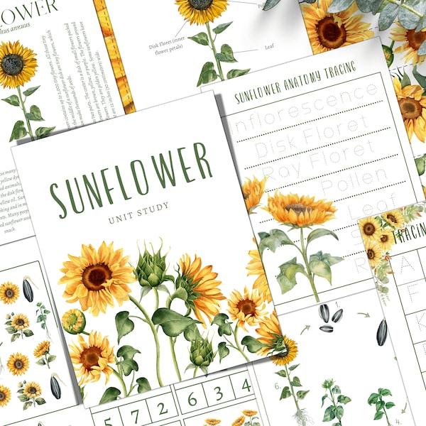 LIFE CYCLE of a SUNFLOWER• 8 Editable Montessori Cards • Flash Cards ...