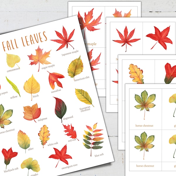 Fall Leaves Poster - Etsy