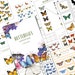 SUMMER BUNDLE, Summer Camping, Butterfly, Forest and Minibeasts ...
