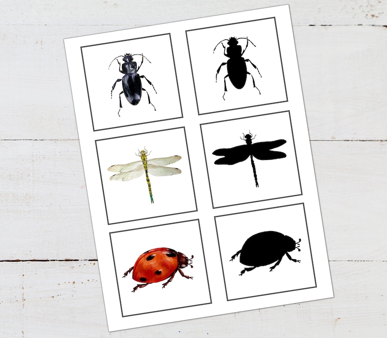 MINIBEASTS Shadow Matching Silhouette Matching Montessori at - Etsy