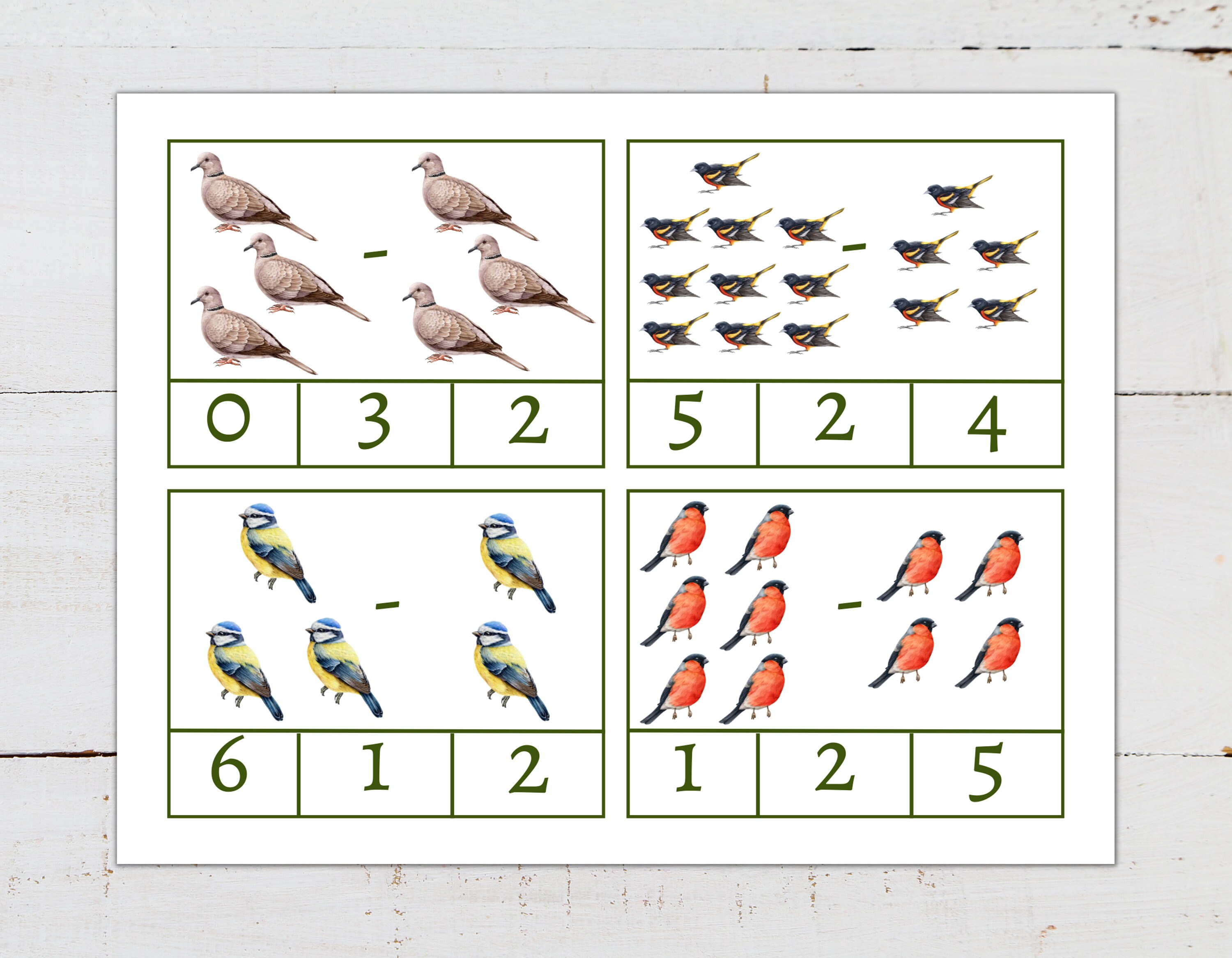 BIRDS Subtraction Clip Cards, 1 to 10, Early Math Activity for Kids ...