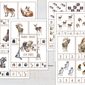 WINTER ANIMALS Unit Study, Life Cycle, Anatomy, Nature Study, Science ...