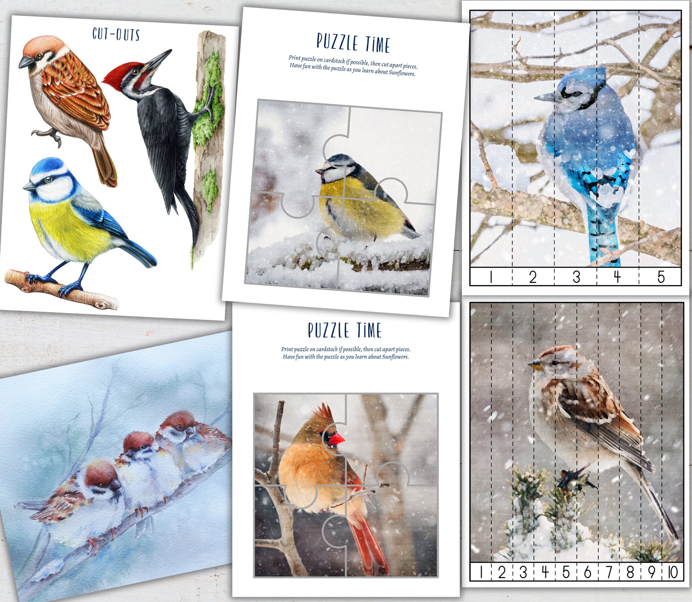 WINTER BIRDS Unit Study, Life Cycle, Anatomy, Nature Study, Science ...