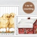 FARM Animals Number Sequence Puzzles, Printable, Skip Counting ...