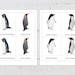 PENGUINS Mini Poster 3-part Cards, 18 Penguins, Homeschool, Montessori ...
