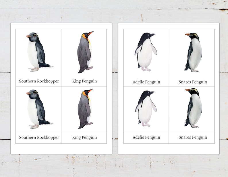 PENGUINS Mini Poster 3-part Cards, 18 Penguins, Homeschool, Montessori ...
