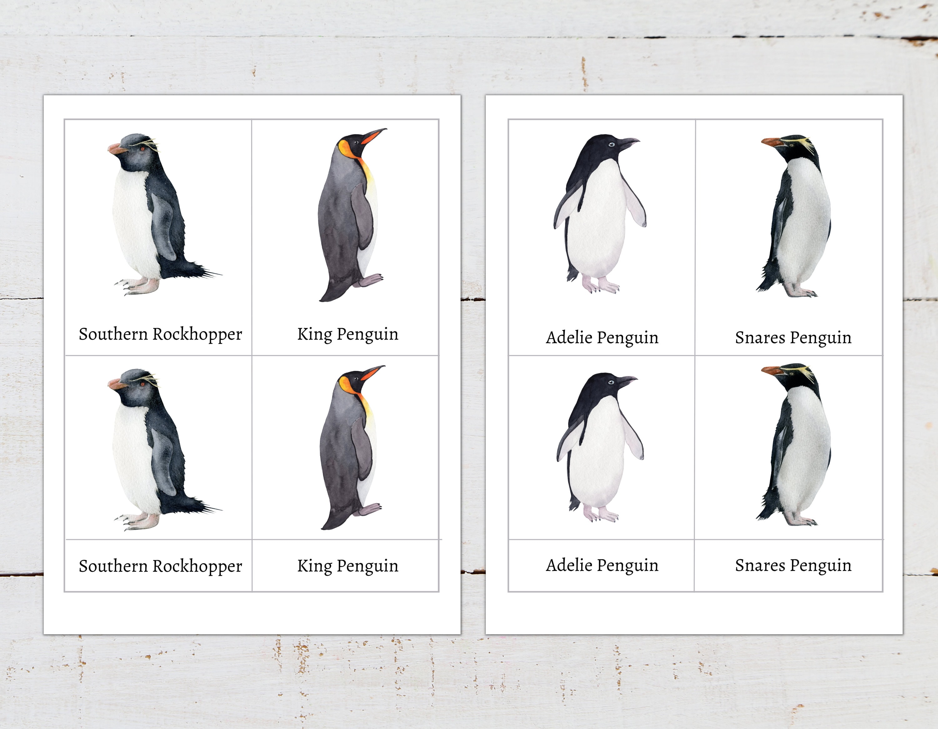 PENGUINS Mini Poster 3-part Cards, 18 Penguins, Homeschool, Montessori ...