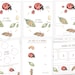 LADYBUG Unit Study, Life Cycle, Anatomy, Nature Study, Science ...