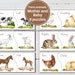 Mother and Baby Farm Animal Matching Cards and Flash Cards. Montessori ...