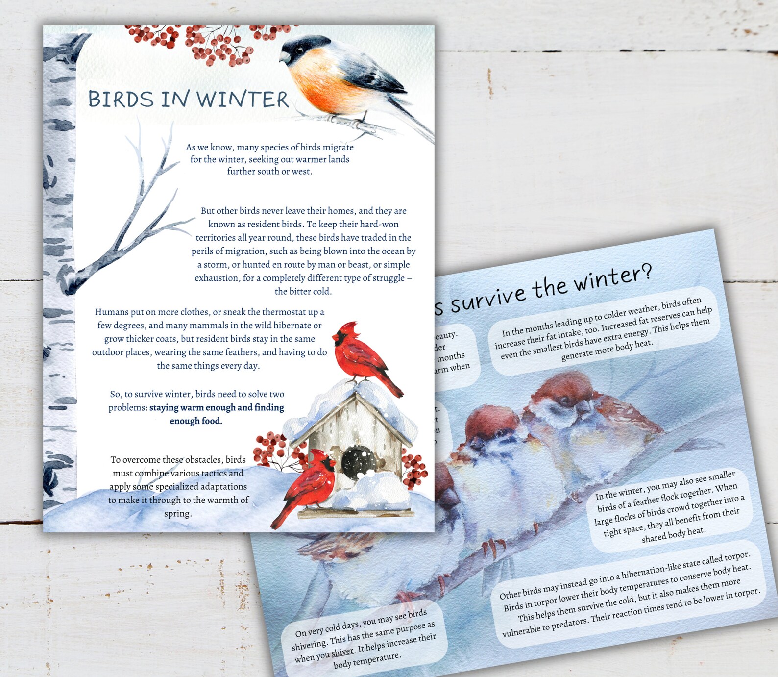 WINTER BIRDS Unit Study, Life Cycle, Anatomy, Nature Study, Science ...