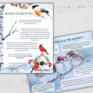WINTER BIRDS Unit Study, Life Cycle, Anatomy, Nature Study, Science ...