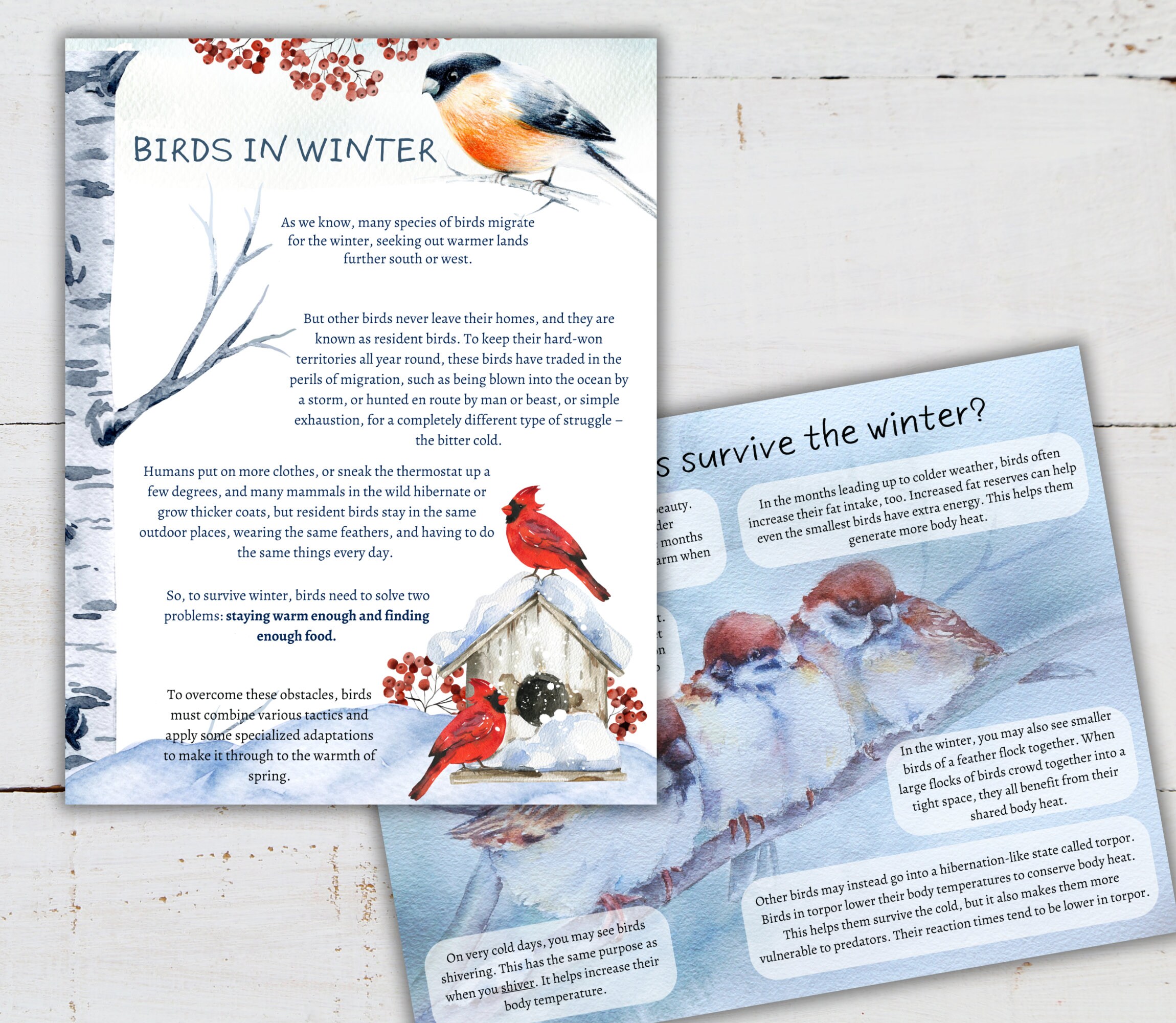WINTER BIRDS Unit Study, Life Cycle, Anatomy, Nature Study, Science ...