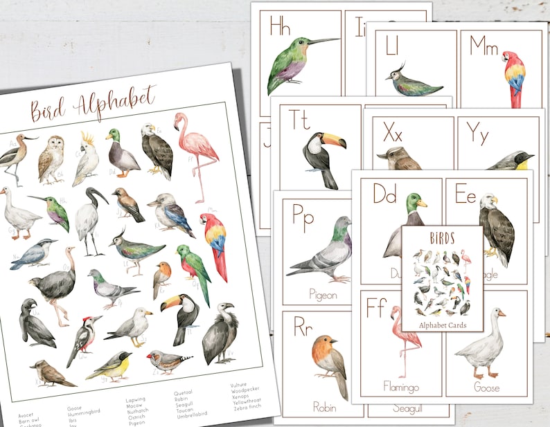 BIRD Unit Study, Life Cycle, Anatomy, Nature Study, Science, Homeschool ...