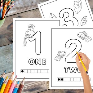 NUMBER Count and Coloring Worksheets, 1 to 20 Counting, Preschool ...