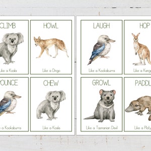 ANIMAL MOVEMENT CARDS, Australian Animals, Calm Down Activity, Kids ...