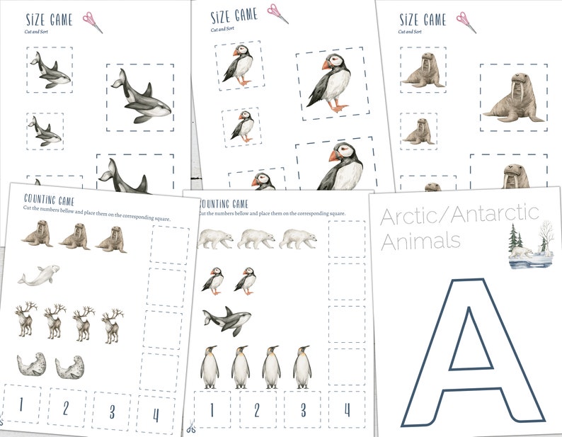 POLAR Animals Pre-k and K Activity Pack Homeschool Digital - Etsy