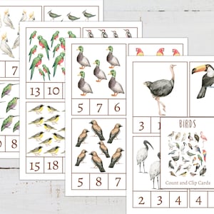 BIRD Unit Study, Life Cycle, Anatomy, Nature Study, Science, Homeschool ...