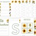 SUNFLOWER Unit Study, Life Cycle, Anatomy, Nature Study, Science ...
