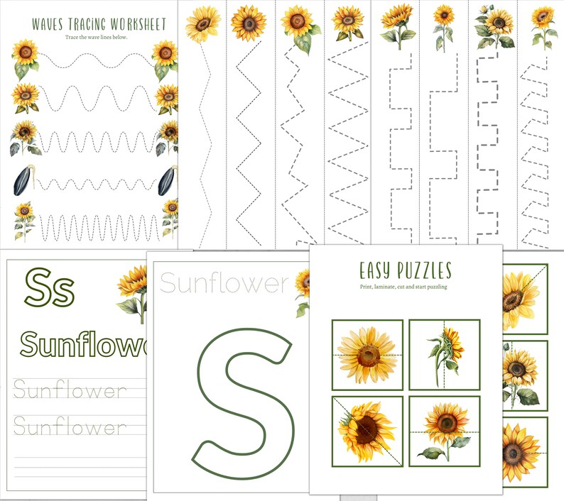 SUNFLOWER Unit Study Life Cycle Anatomy Nature Study - Etsy