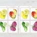 FRUIT and VEGETABLES Matching Card Game, Simple Puzzles, Toddler ...