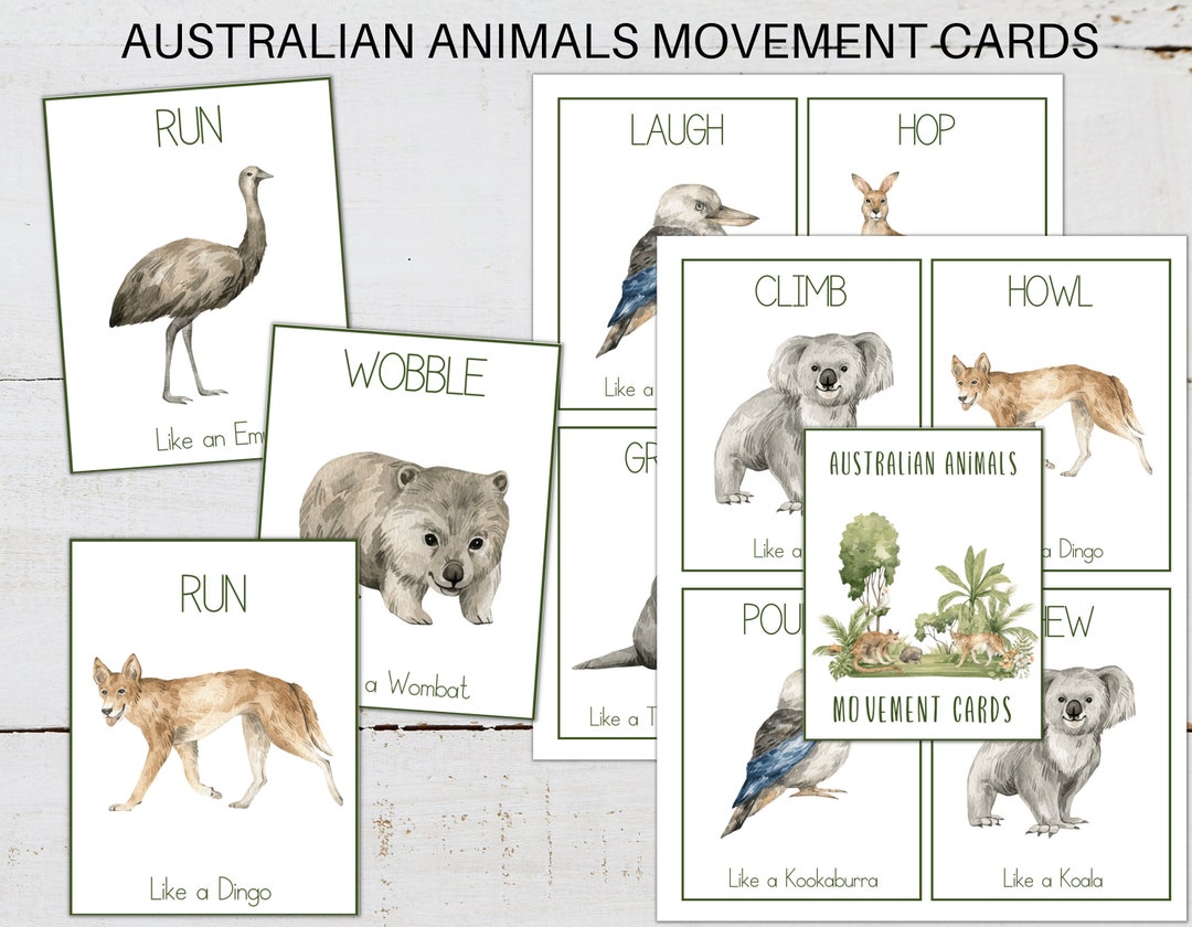 ANIMAL MOVEMENT CARDS, Australian Animals, Calm Down Activity, Kids ...
