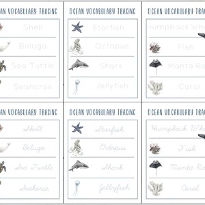 OCEAN Animals Pre-k and K Activity Pack, Homeschool, Digital, INSTANT ...