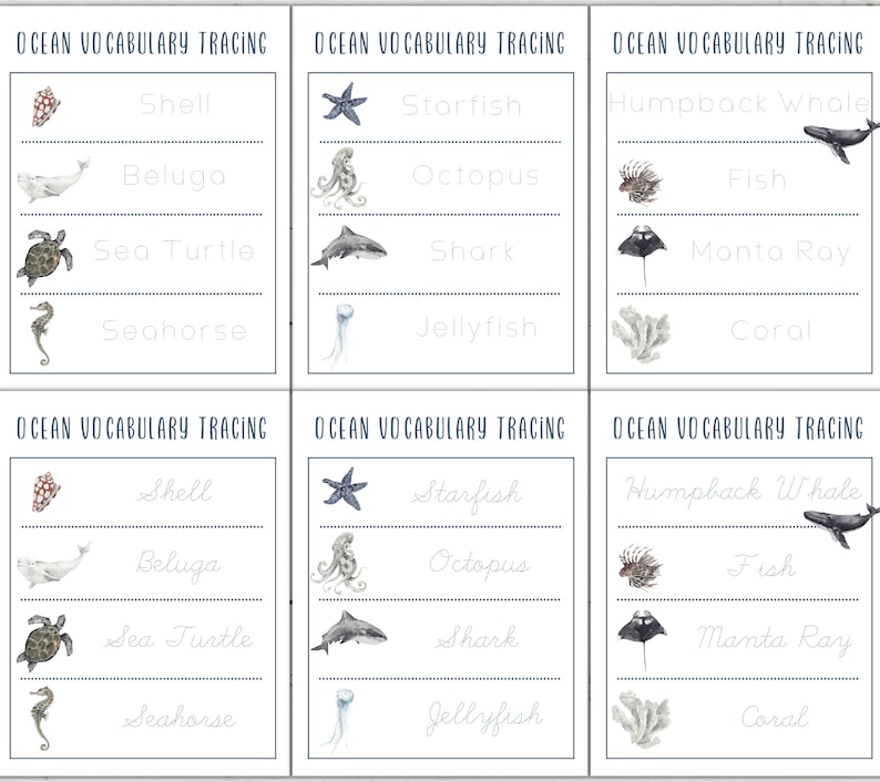 OCEAN Animals Pre-k and K Activity Pack, Homeschool, Digital, INSTANT ...