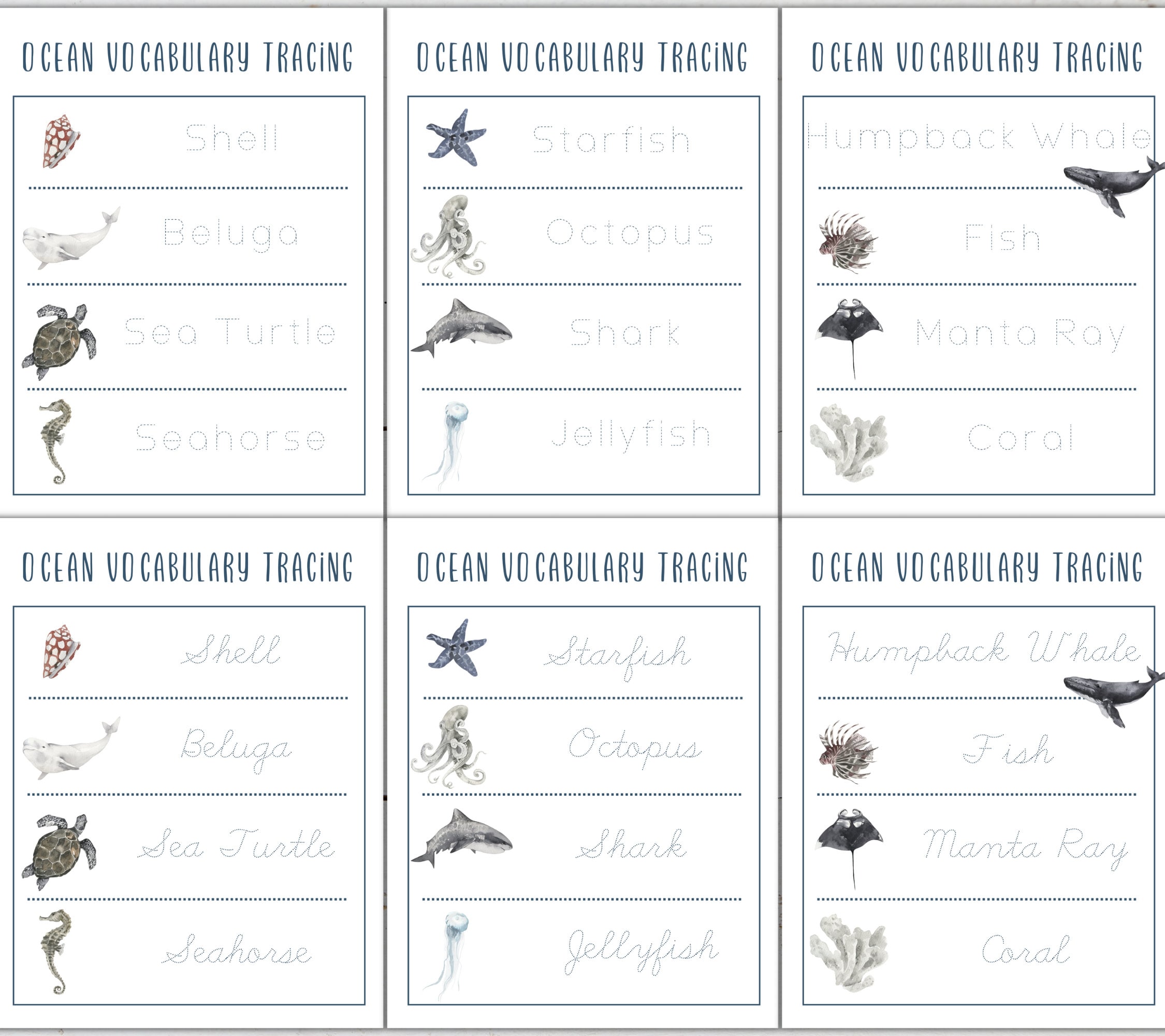 OCEAN Animals Pre-k and K Activity Pack, Homeschool, Digital, INSTANT ...
