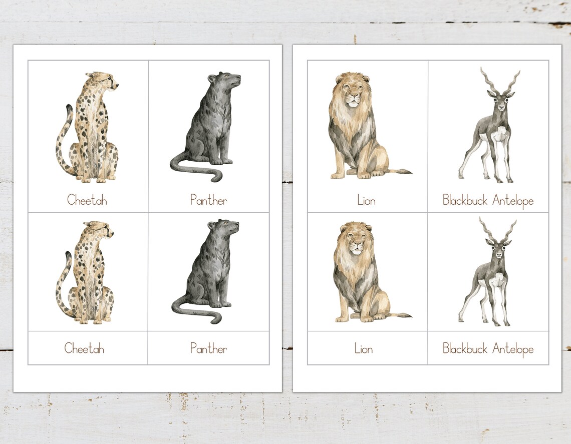 AFRICAN ANIMALS Mini Poster 3-part Cards Homeschool - Etsy