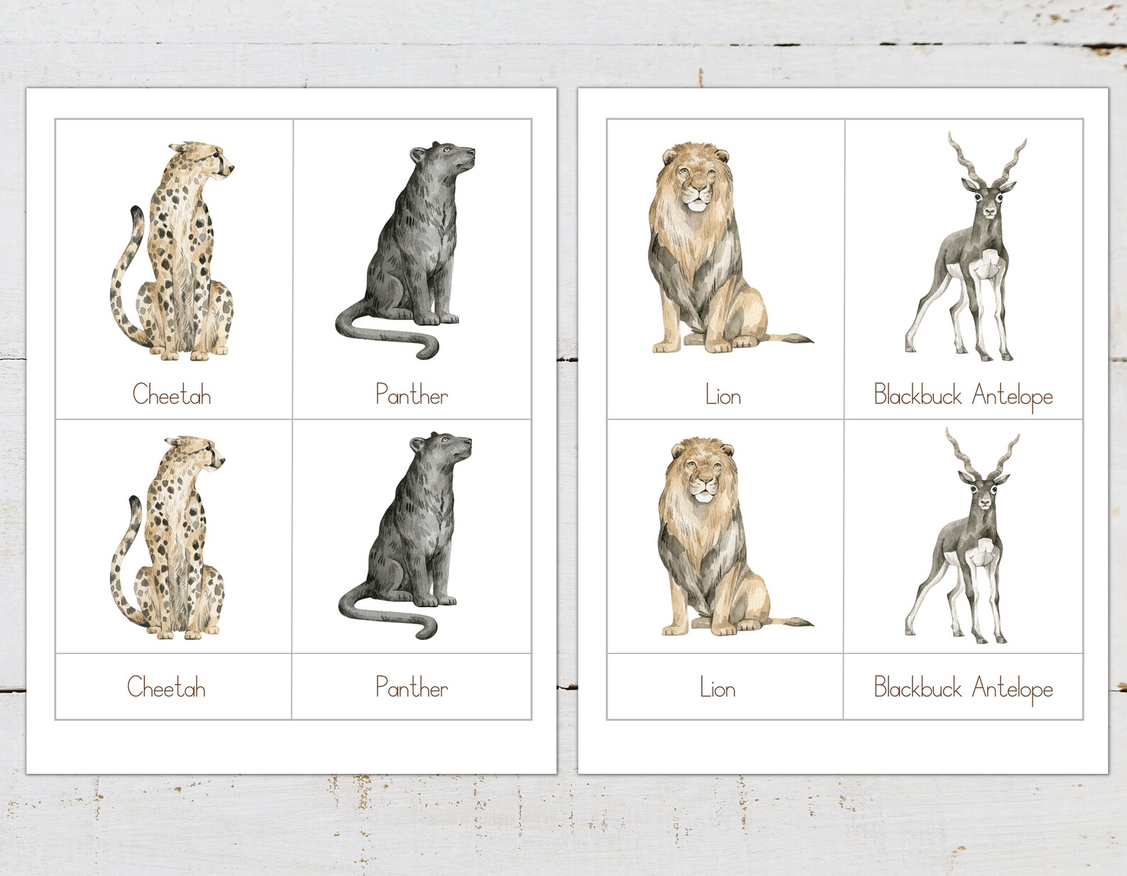 AFRICAN ANIMALS Mini Poster + 3-part Cards, Homeschool, Montessori ...