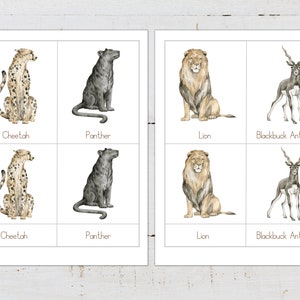 AFRICAN ANIMALS Mini Poster + 3-part Cards, Homeschool, Montessori ...