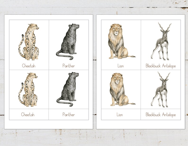 AFRICAN ANIMALS Mini Poster + 3-part Cards, Homeschool, Montessori ...