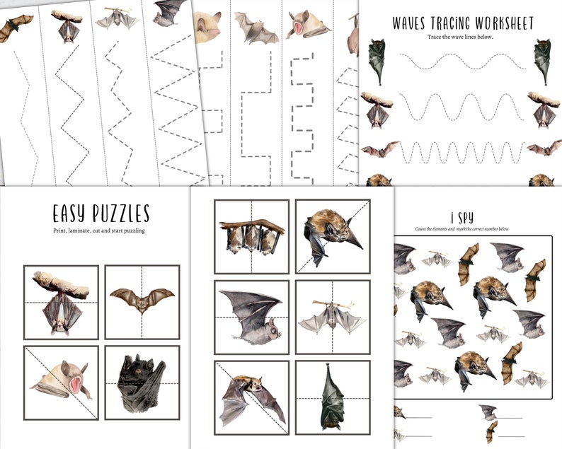 BAT Unit Study Life Cycle Anatomy Nature Study Science - Etsy UK