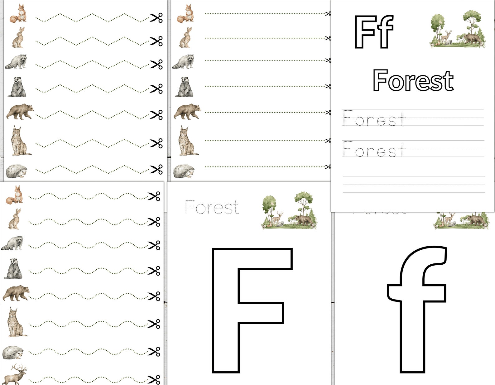 FOREST Animals Pre-k and K Activity Pack, Homeschool, Digital, INSTANT ...