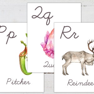 Alphabet Posters, Large Format for Classroom Use - Etsy