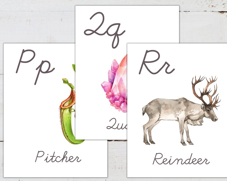 Alphabet Posters, Large Format for Classroom Use - Etsy