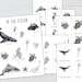 OCEAN Animals Pre-k and K Activity Pack, Homeschool, Digital, INSTANT ...