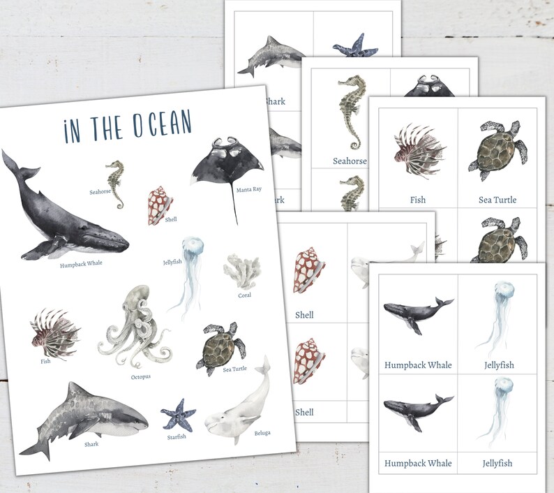 OCEAN Animals Pre-k and K Activity Pack, Homeschool, Digital, INSTANT ...