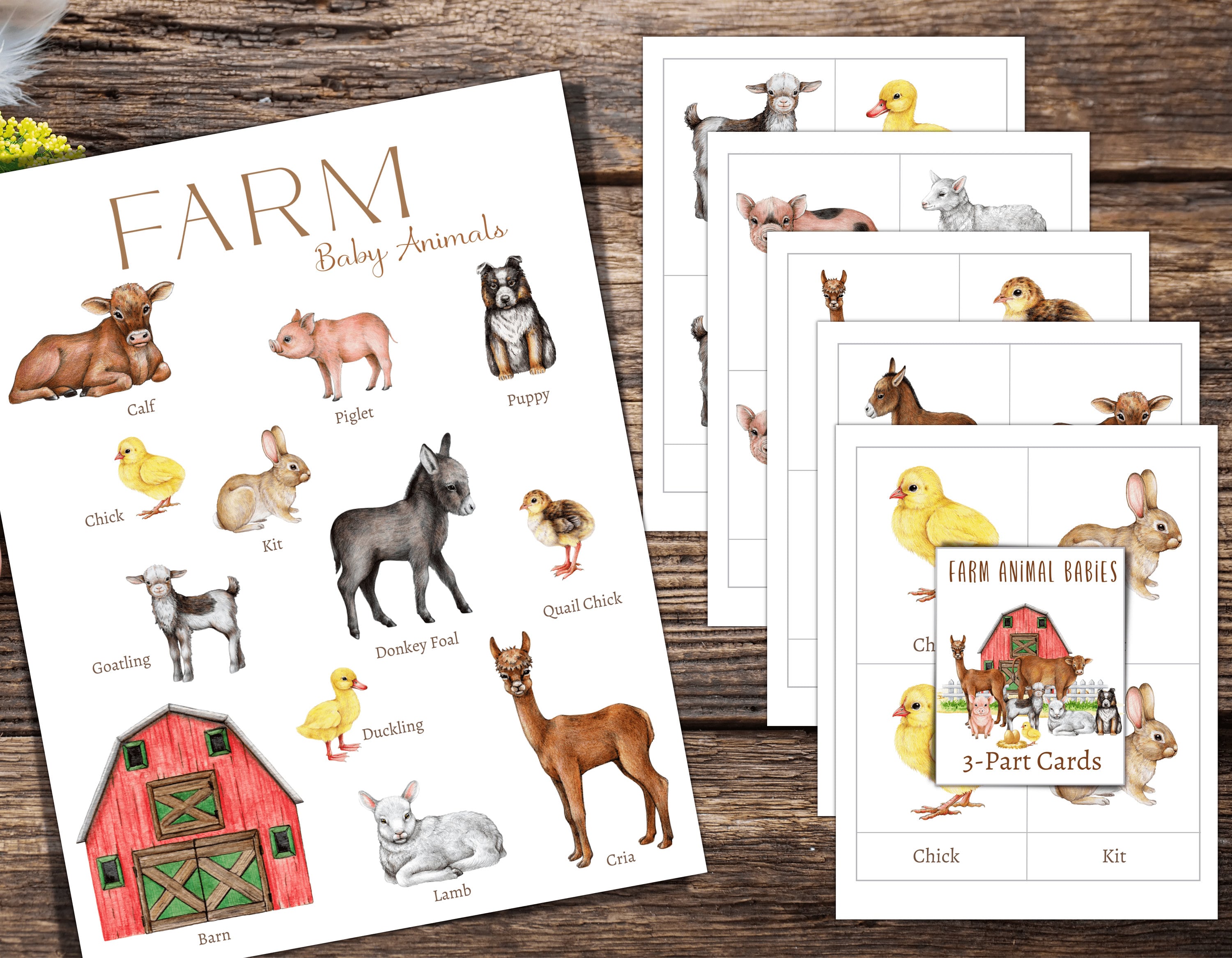 Farm Animals BUNDLE, Poster, 3-part Cards, Puzzles, Pattern Match ...