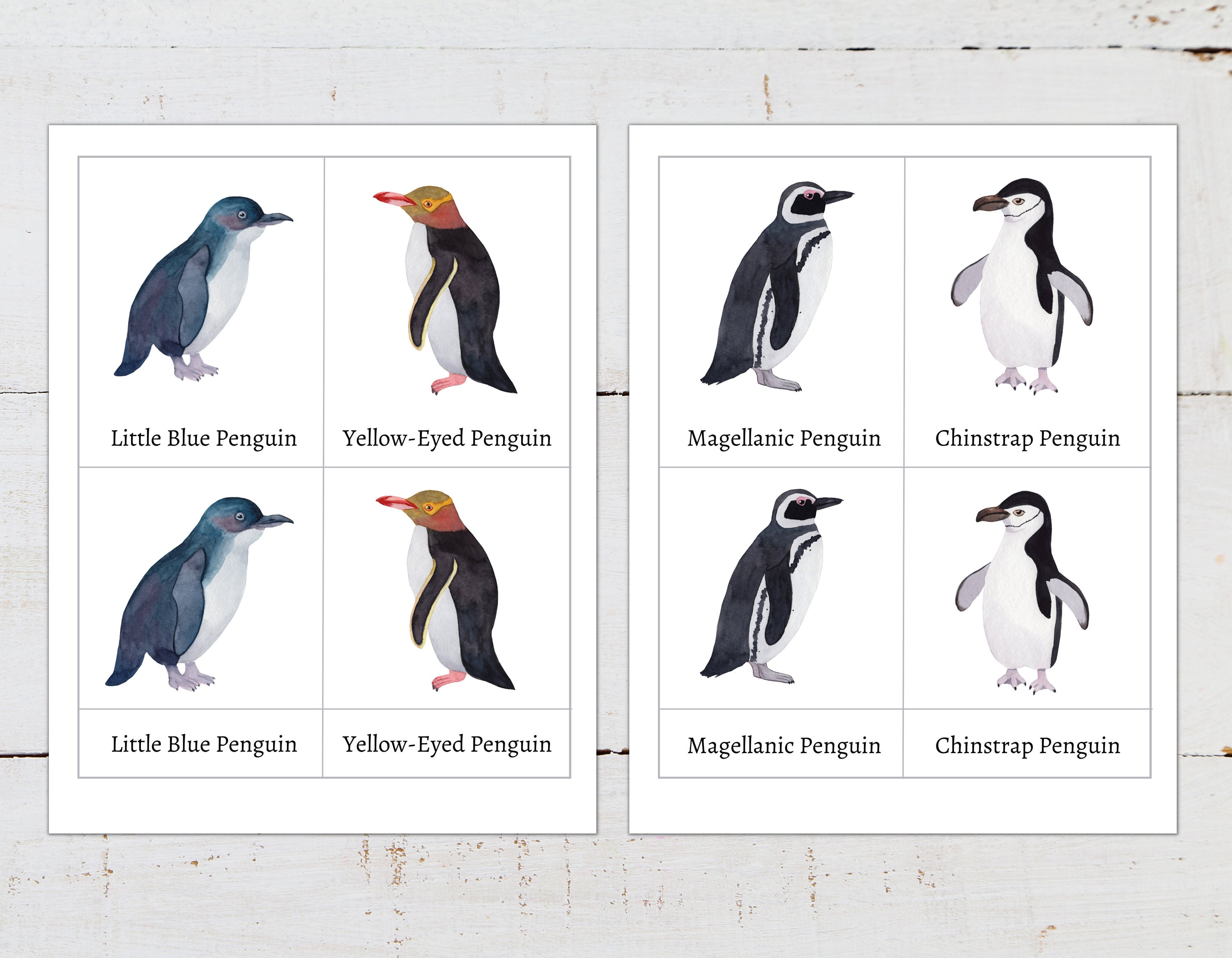 PENGUINS Mini Poster 3-part Cards, 18 Penguins, Homeschool, Montessori ...