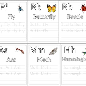 POLLINATOR Unit Study, Anatomy, Nature Study, Science, Homeschool ...