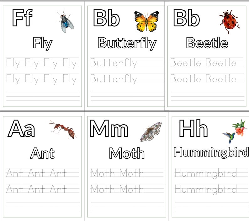 POLLINATOR Unit Study Anatomy Nature Study Science - Etsy